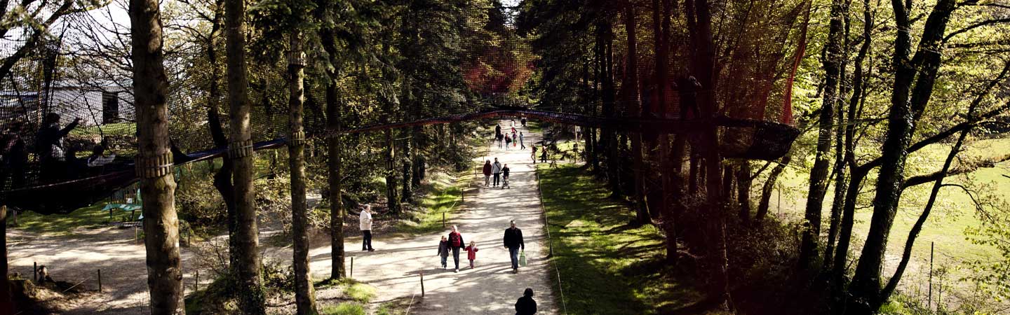 FONDATION SINGULARPLANET - Fondation de France