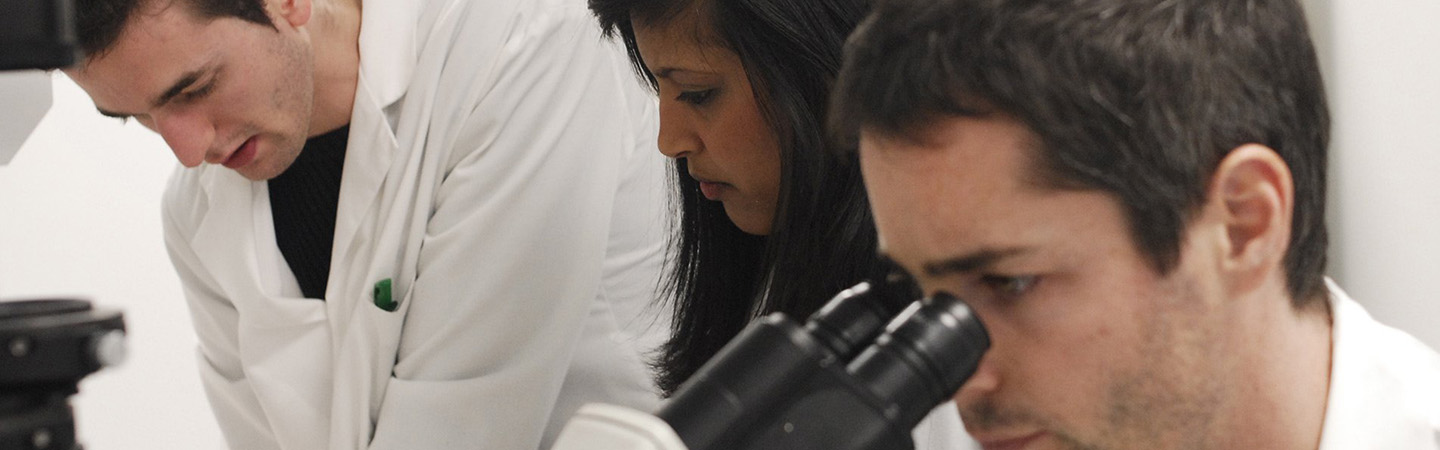 FONDATION PRIX FRANCIS NETTER FONDATION DE FRANCE - Fondation de France