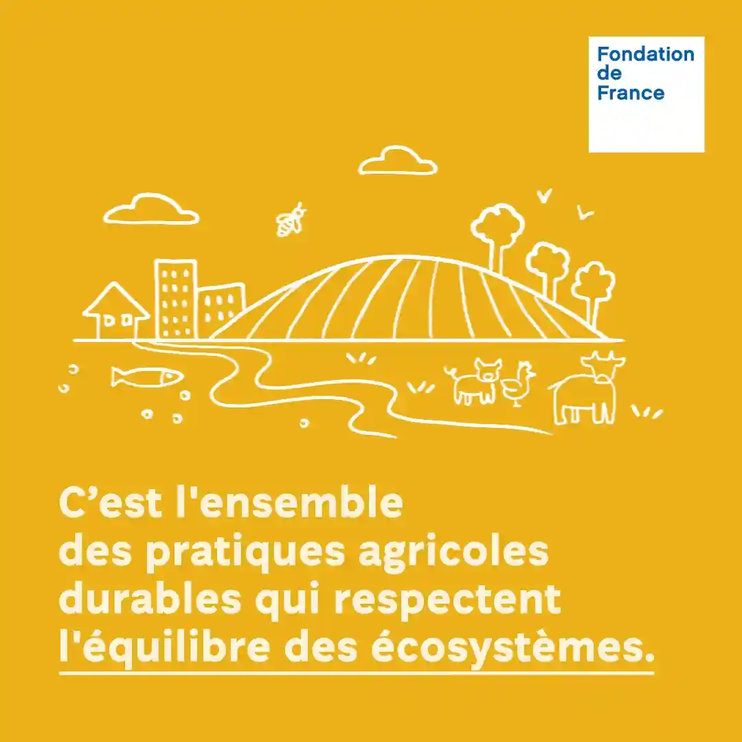C'est quoi, l'agroécologie ? - Fondation de France