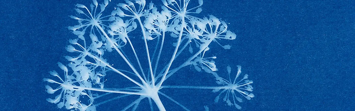 FONDATION LE ROCHER BLEU - Fondation de France